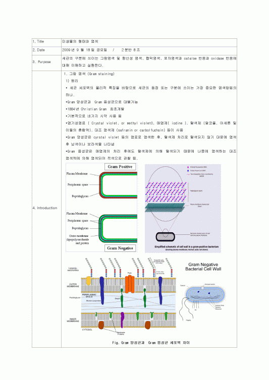 미생물의 형태와 염색