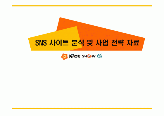 SNS 사이트 분석 및 사업 전략 자료