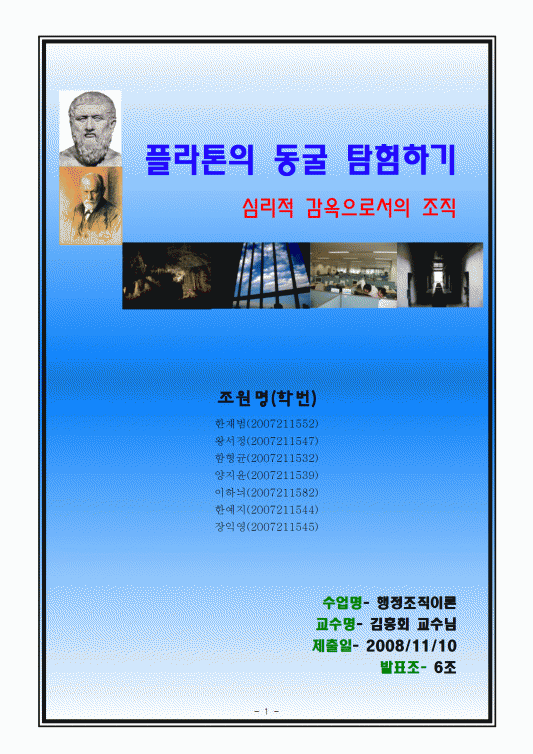 플라톤의 동굴이론으로 바라본 조직행태