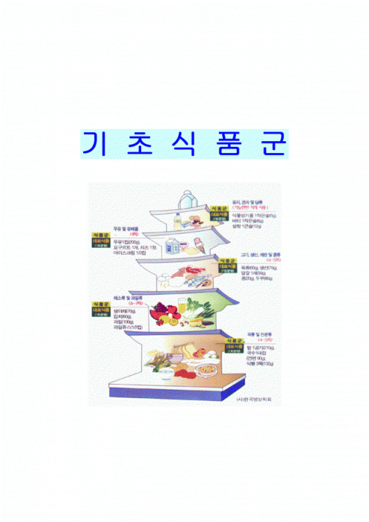 기초식품군 레포트 자료