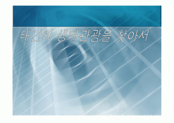 태안의 생태관광 현황 및 문제점 & 개선방안