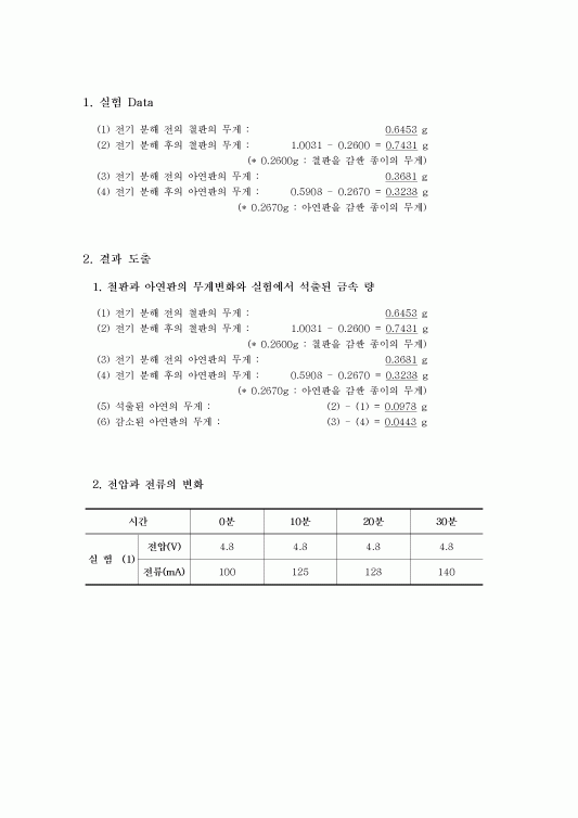 [자연과학] 전기 분해