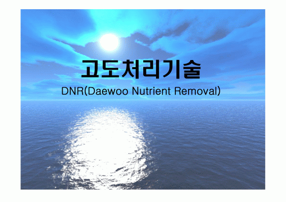 DNR 고도처리기술