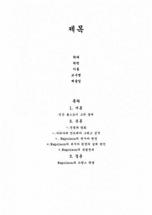톨스토이, 전쟁과평화와 나폴레옹의 유럽원정
