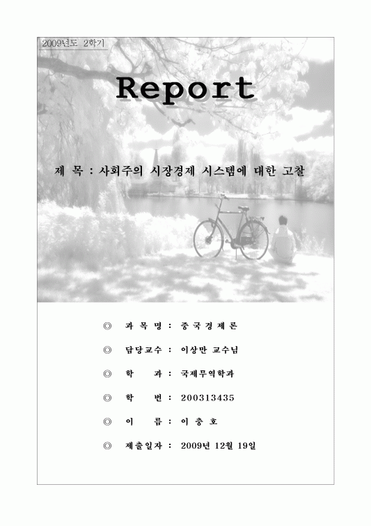 사회주의 시장경제 시스템에 대한 고찰
