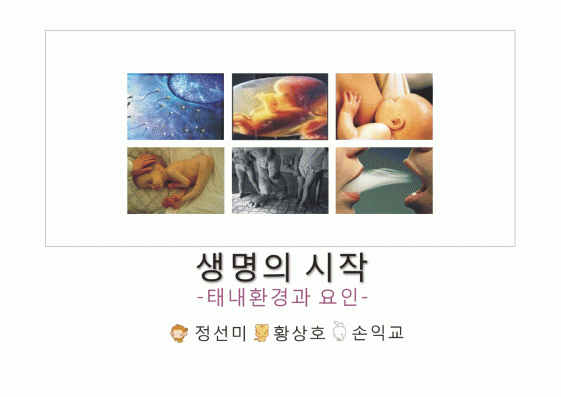 태내환경과 요인