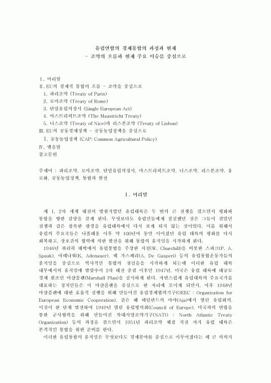 유럽연합의 경제통합의 과정과 현재