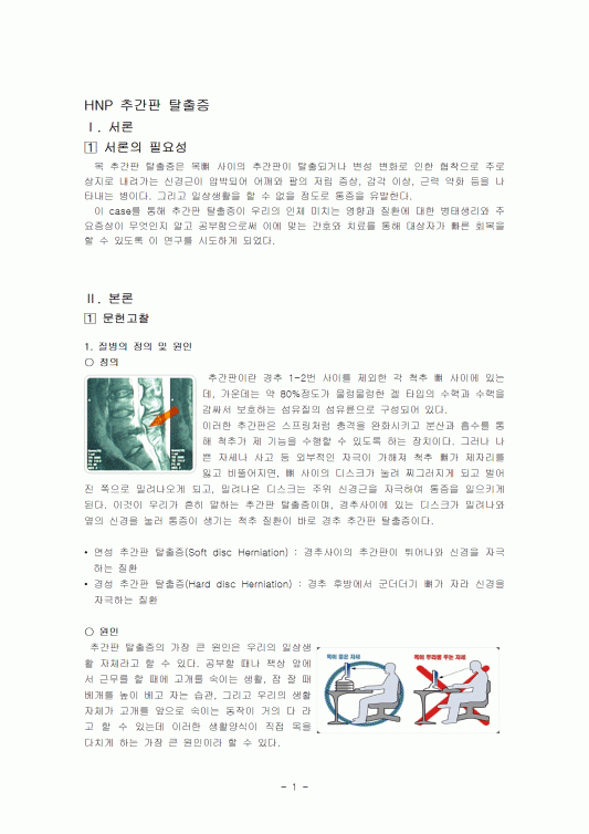 추간판탈출증(HNP)-문헌고찰