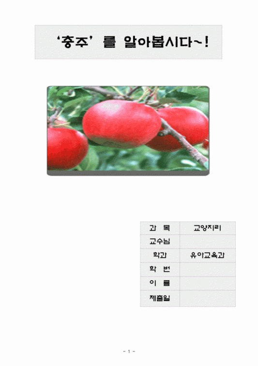 충주에 대해서
