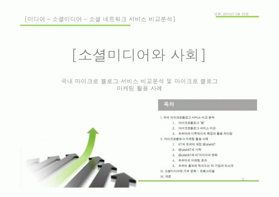 소셜미디어- 국내 마이크로블로그 서비스 비교분석 및 마케팅 활용 고려점과 사례