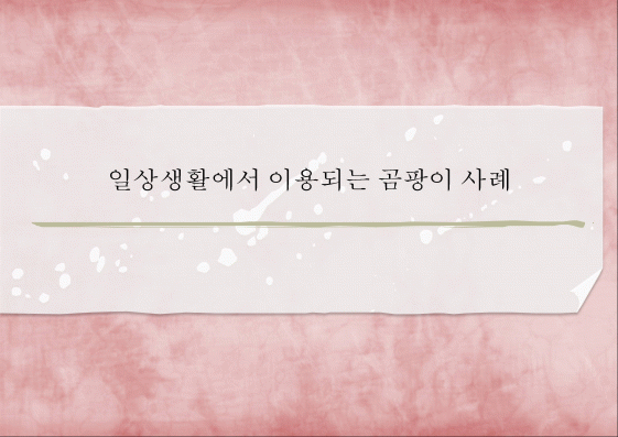 일상생활에서 이용되는 곰팡이 사례