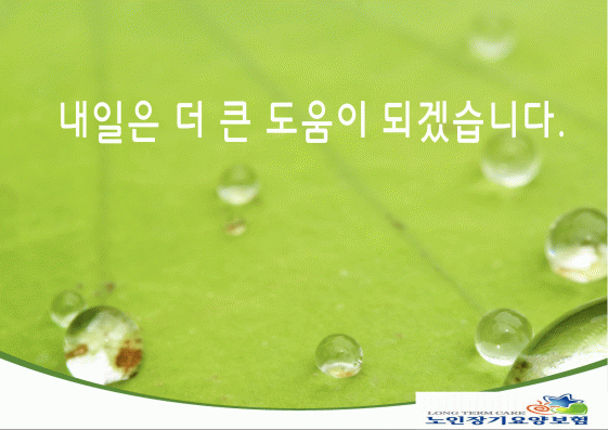 노인장기 요양보험