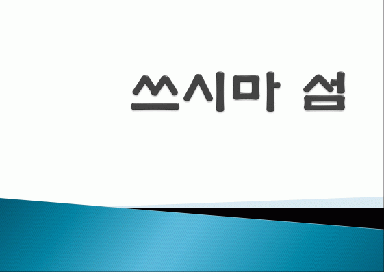 쓰시마 섬 레포트 자료