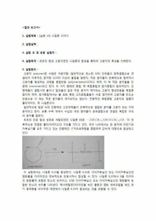 (일반화학실험)나일론 이야기