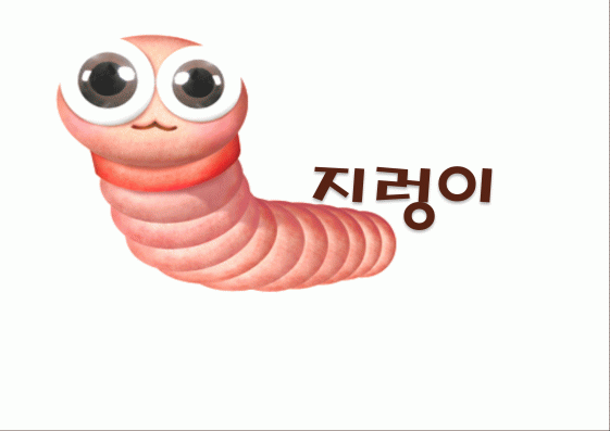 지렁이 요점정리