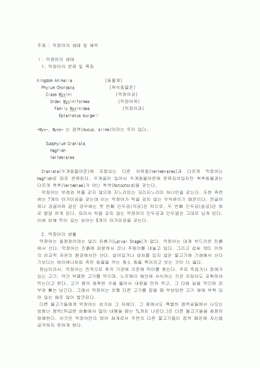 먹장어의 생태 및 해부