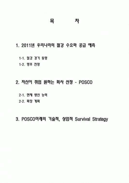 2011 철강산업 예측과 포스코