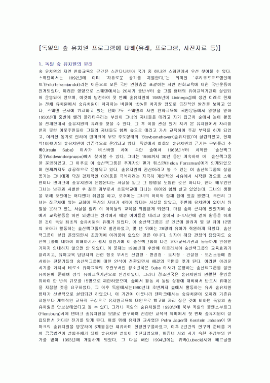 [독일 숲유치원 프로그램에 대하여(유래, 프로그램 종류, 사진자료 등)]