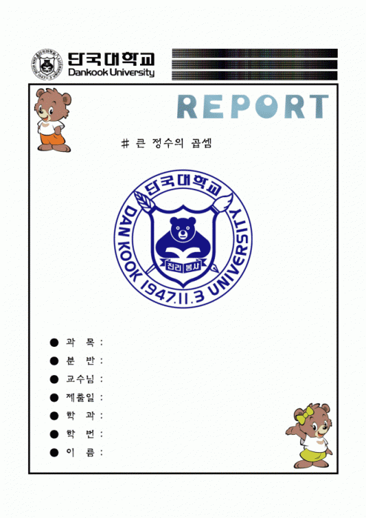 분할정복법을 이용한 큰정수의 곱셈