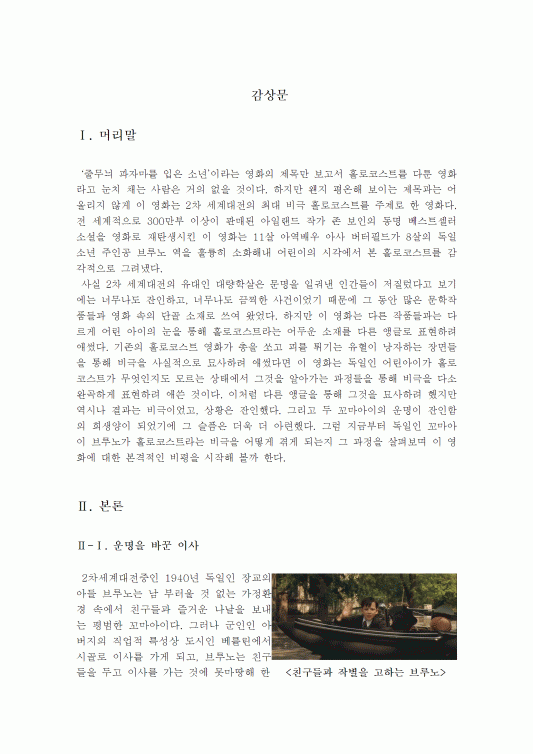줄무늬 파자마를 입은 소년 [줄무늬 파자마를 입은 소년 영화 감상문] 줄무늬 파자마를 입은 소년 감상문[줄무늬파자마를입은소년][영화 줄무늬파자마를입은소년]