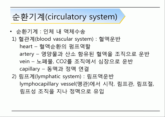 순환기계 (circulatory system)