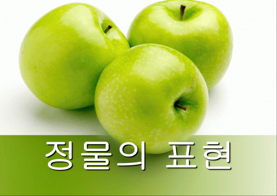 정물화 수업 프리젠테이션