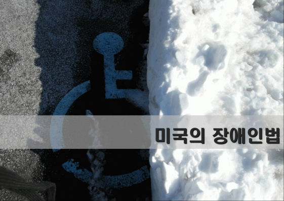 미국의 장애인법