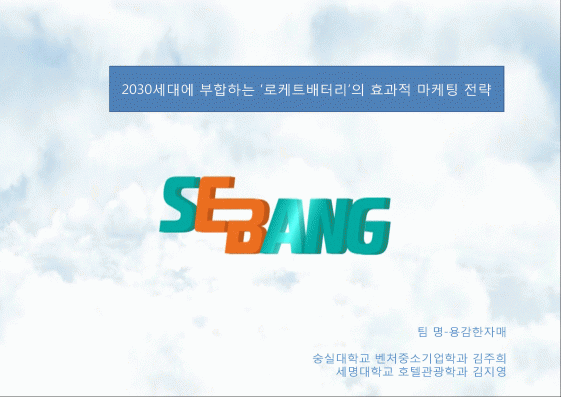 자동차밧데리 세방전지 조사 피피티