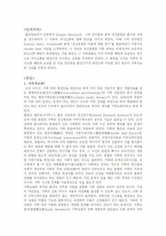 가족치료 의 사례 및 개요