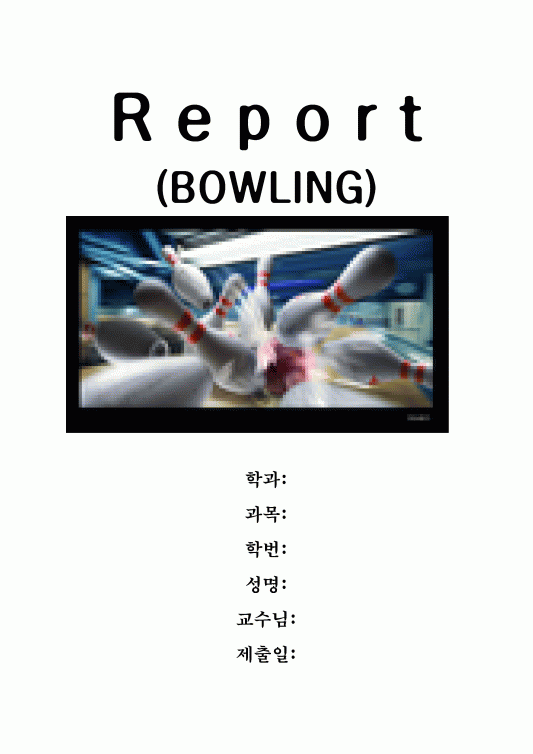 볼링지도법 레포트 자료
