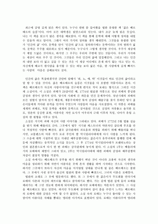 [문학]젊은 베르테르의 슬픔