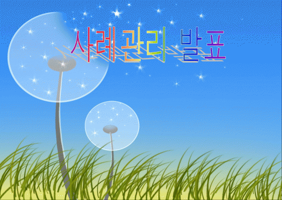 사례관리이론과 실천적 개입적용 그리고 시연 파워포인트 PPT 보고서