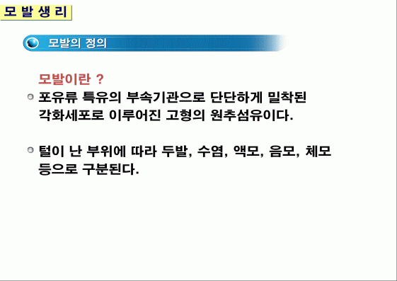 모발의 발생과 구조