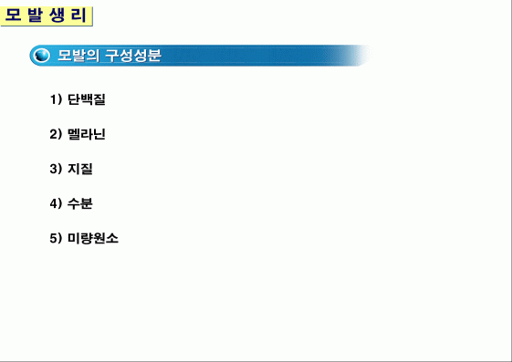 모발의 성분과 성장