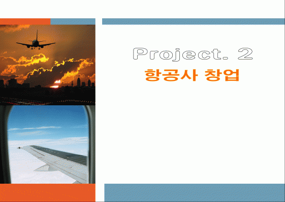 항공사 창업 레포트 자료
