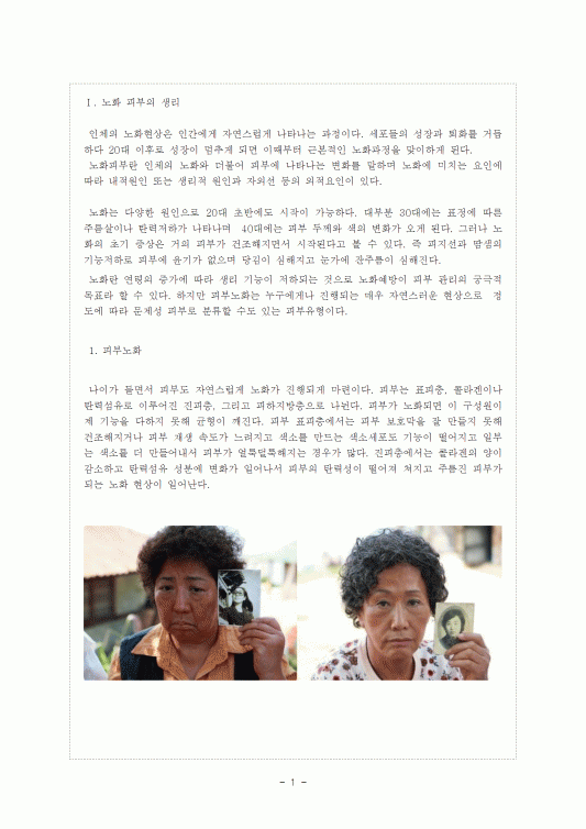 피부노화의 생리