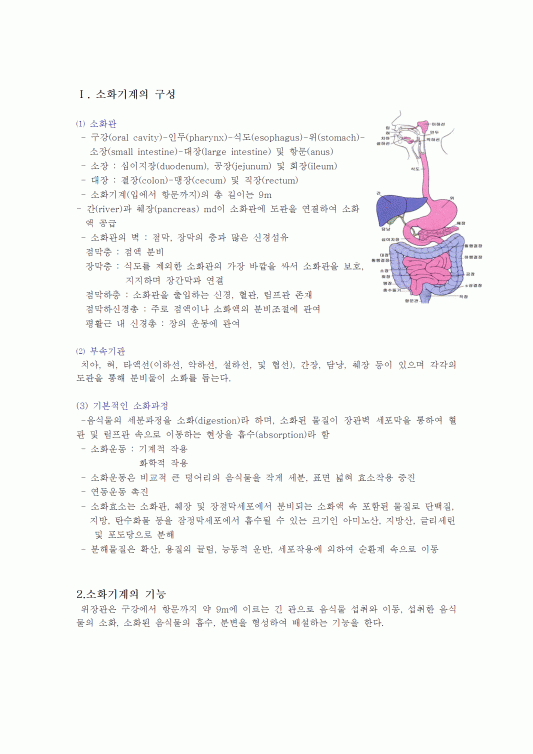 소화기계의 구성