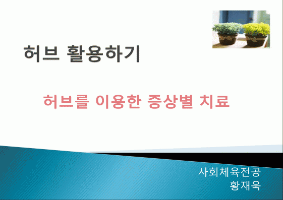 허브를 이용한 치료(허브차&오일마사지&아로마테라피)