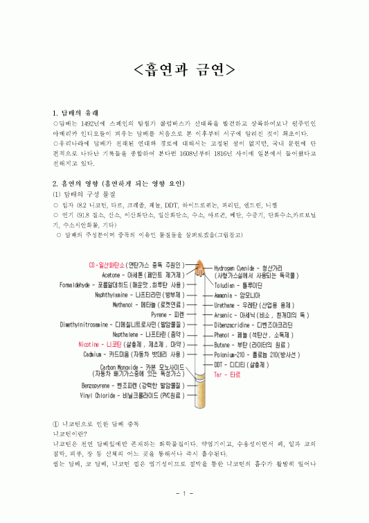 흡연과금연, 담배의유래, 흡연의영향,간접흡연,금연의 중요성