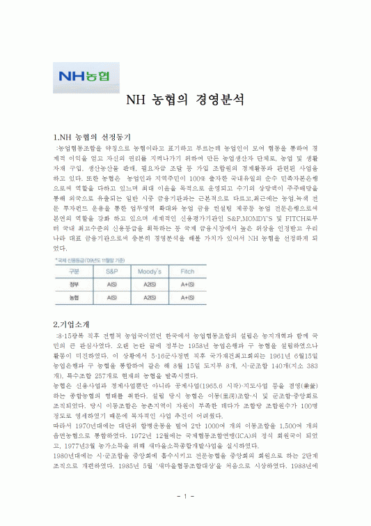 nh농협분석 레포트 자료