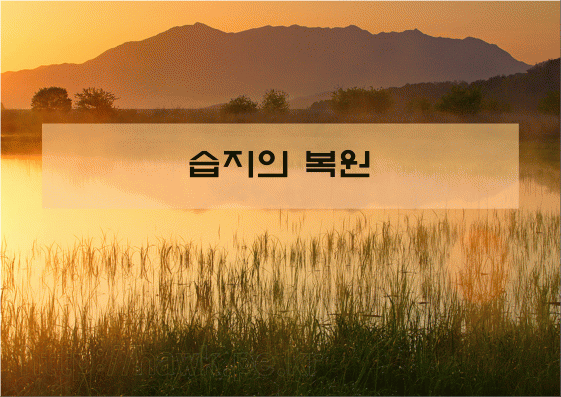 습지_생태계의_복원.