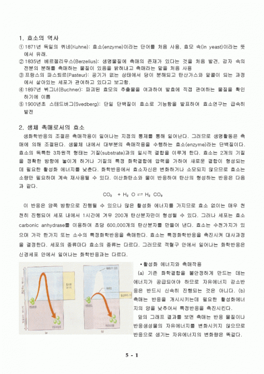 효소에대해서