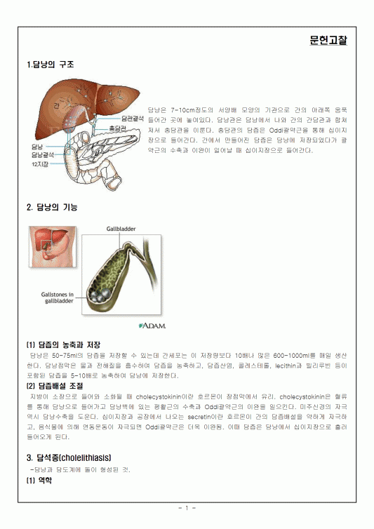 수술실(담낭절제술)