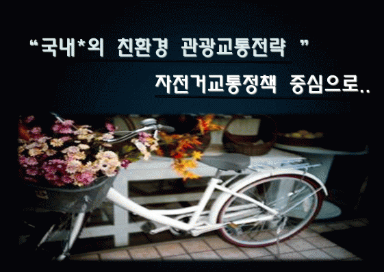 친환경 자전거 관광교통전략을 통한 활성화 방안 조사분석