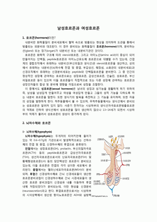 성의 생물학 리포트(레포트) - 성호르몬