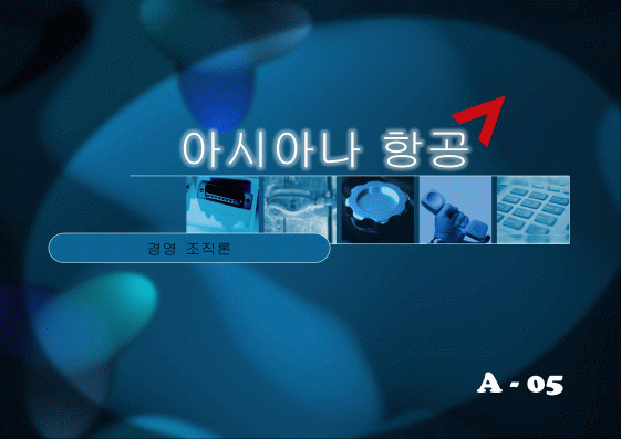 금호아시아나 조직도
