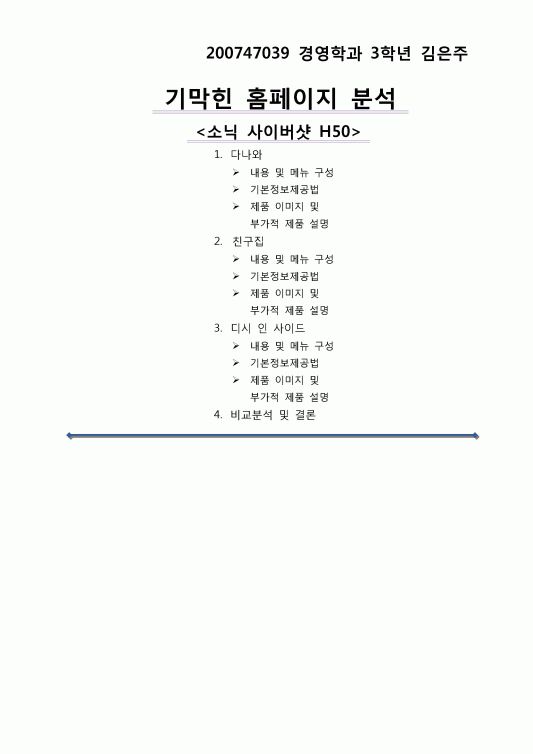 홈페이지분석