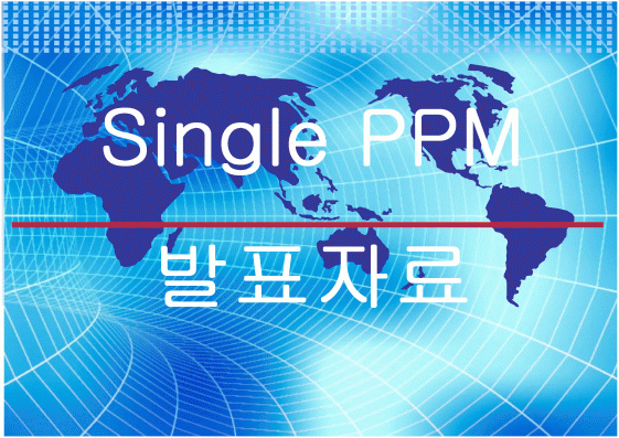 SINGLE PPM 레포트 자료