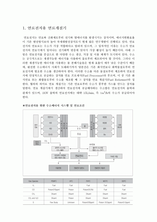 연료 개질기 레포트 자료