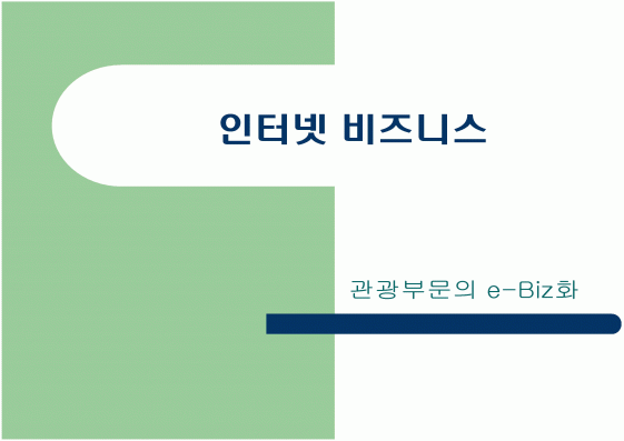 인터넷 비즈니스와 관광부문의 e-Biz화